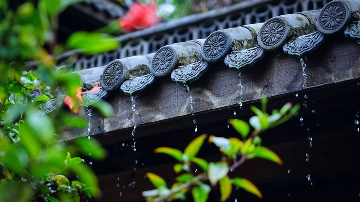 All you need to know about “plum rain season”_inJiangsu